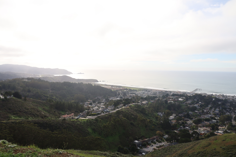 #1 Tree Service Pacifica Ca - Tree Removal- (650) 547-7960