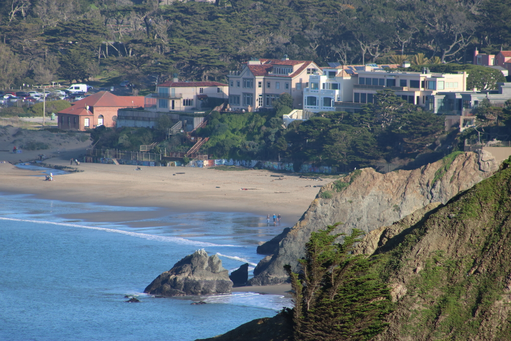 #1 Tree Service Pacifica Ca - Tree Removal- (650) 547-7960